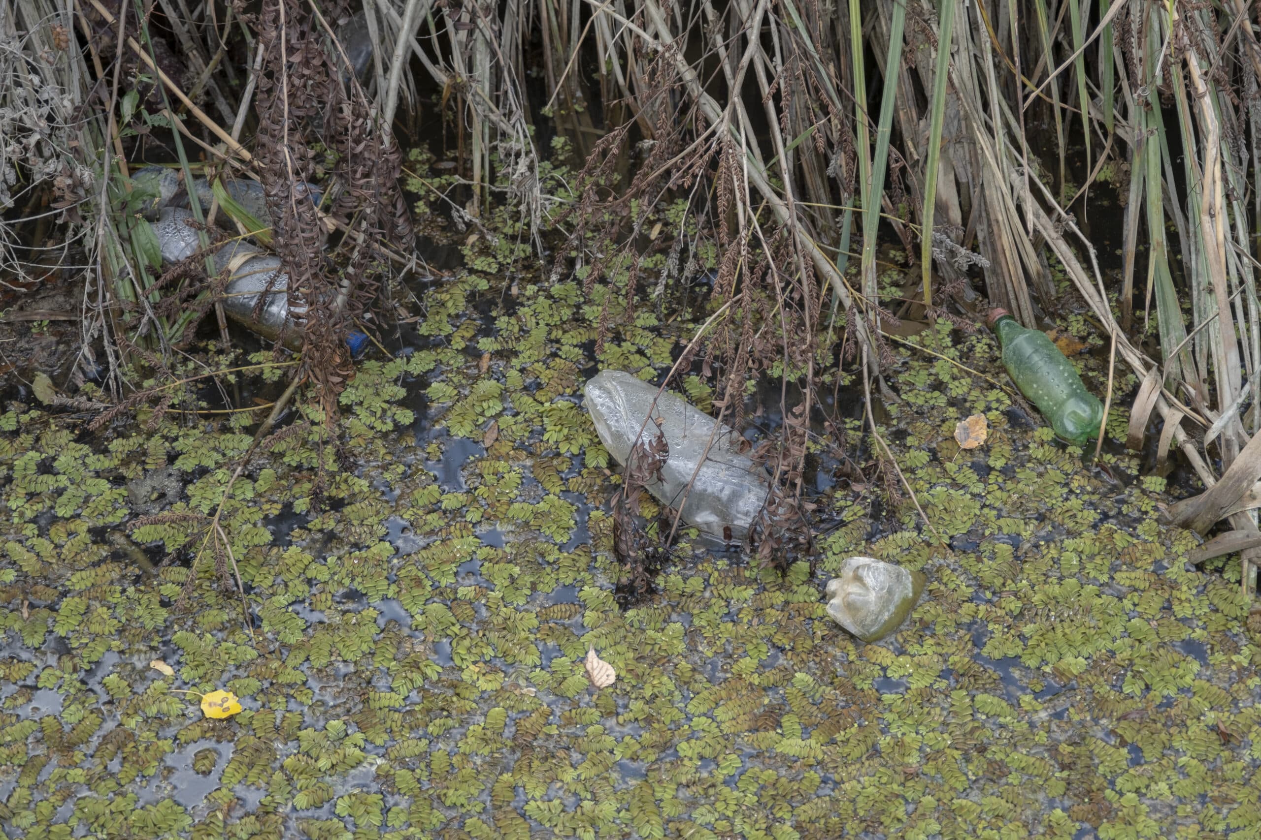 Litter Control | NWPX Park